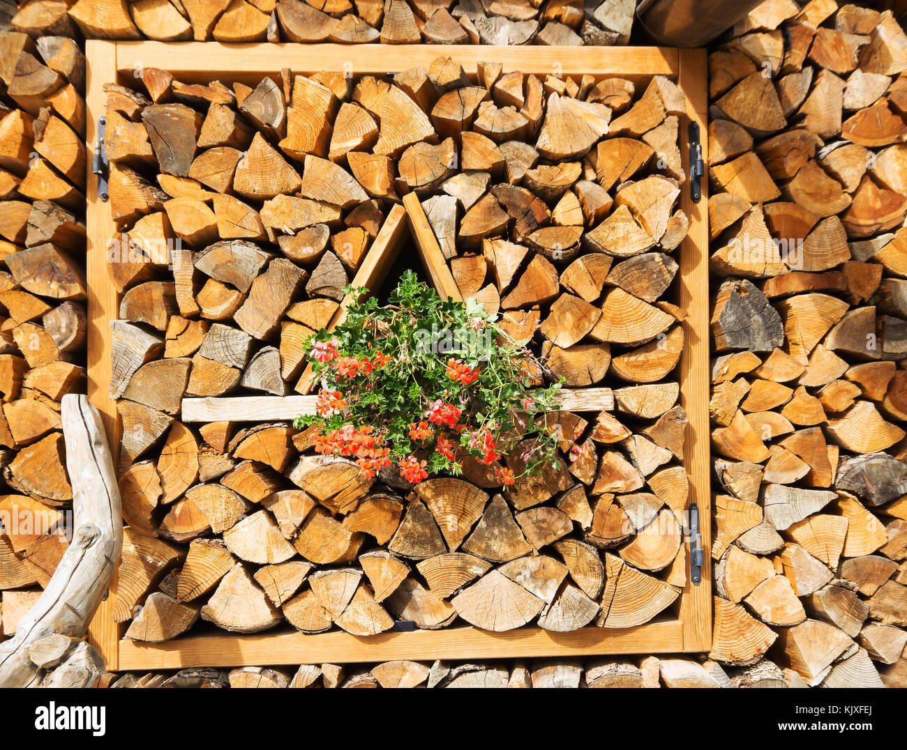 Natural wooden background, closeup of chopped firewood. Firewood ...