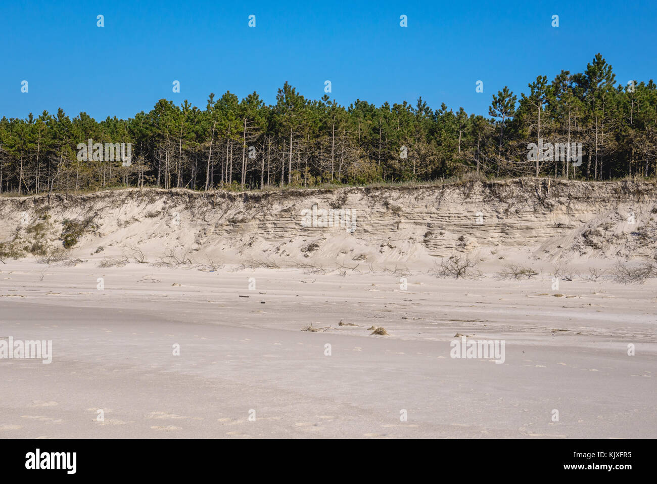 Dune on a spit beach separating Baltic Sea and Bukowo Lake in West ...