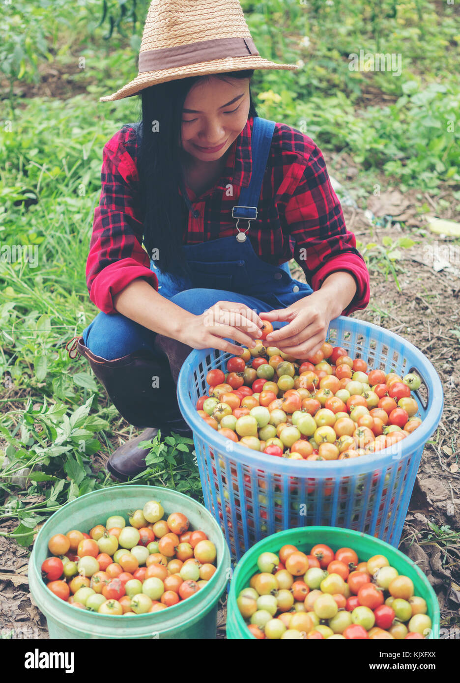 Smiling farmer woman harvesting hi-res stock photography and images - Alamy