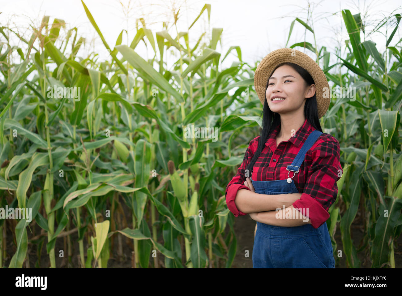 Happy farmer posing in the corn field Stock Photo - Alamy