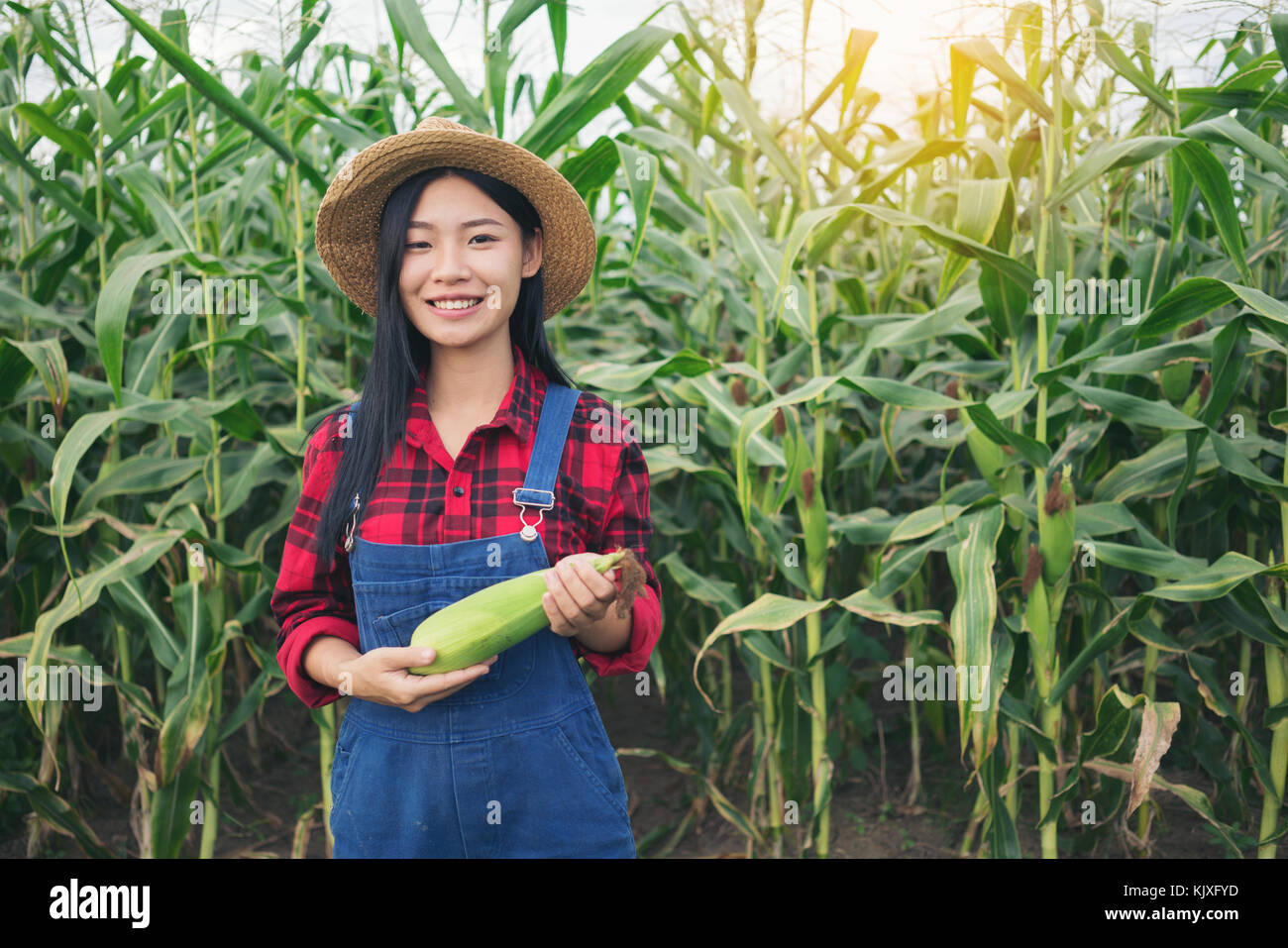 Happy farmer posing in the corn field Stock Photo - Alamy