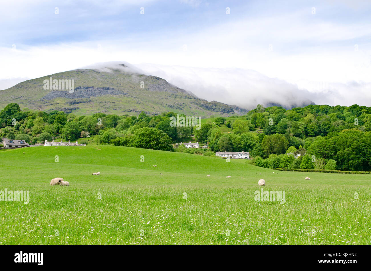 Old lake district hill farm hi-res stock photography and images - Alamy Old lake district hill farm hi-res stock photography and images - Alamy
