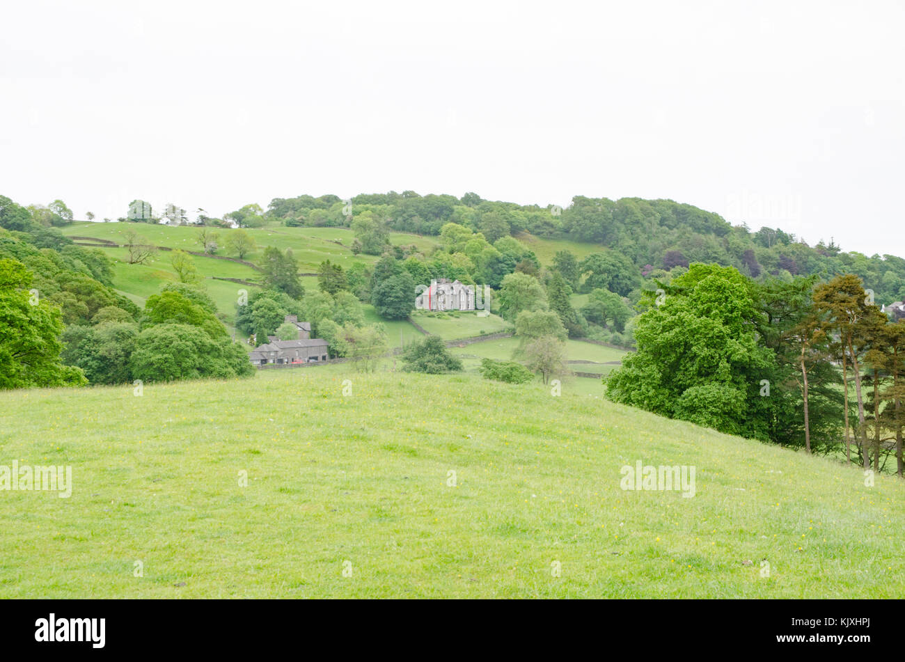 Sheep farmer lake district hi-res stock photography and images - Alamy