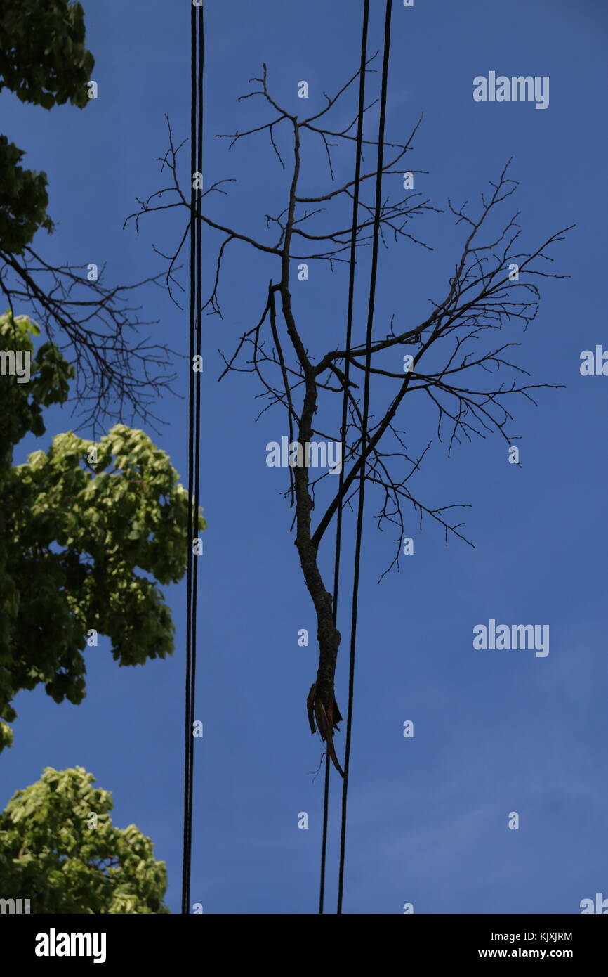 Broken wooden power cable hi-res stock photography and images - Alamy