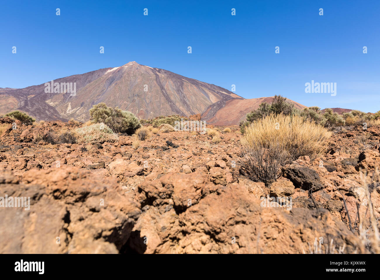 Mount teide volcano rising up from the Las Canadas del Teide national ...