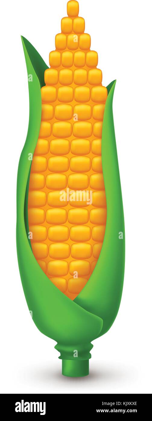 Sweet corn vector realistic Stock Vector Images - Alamy