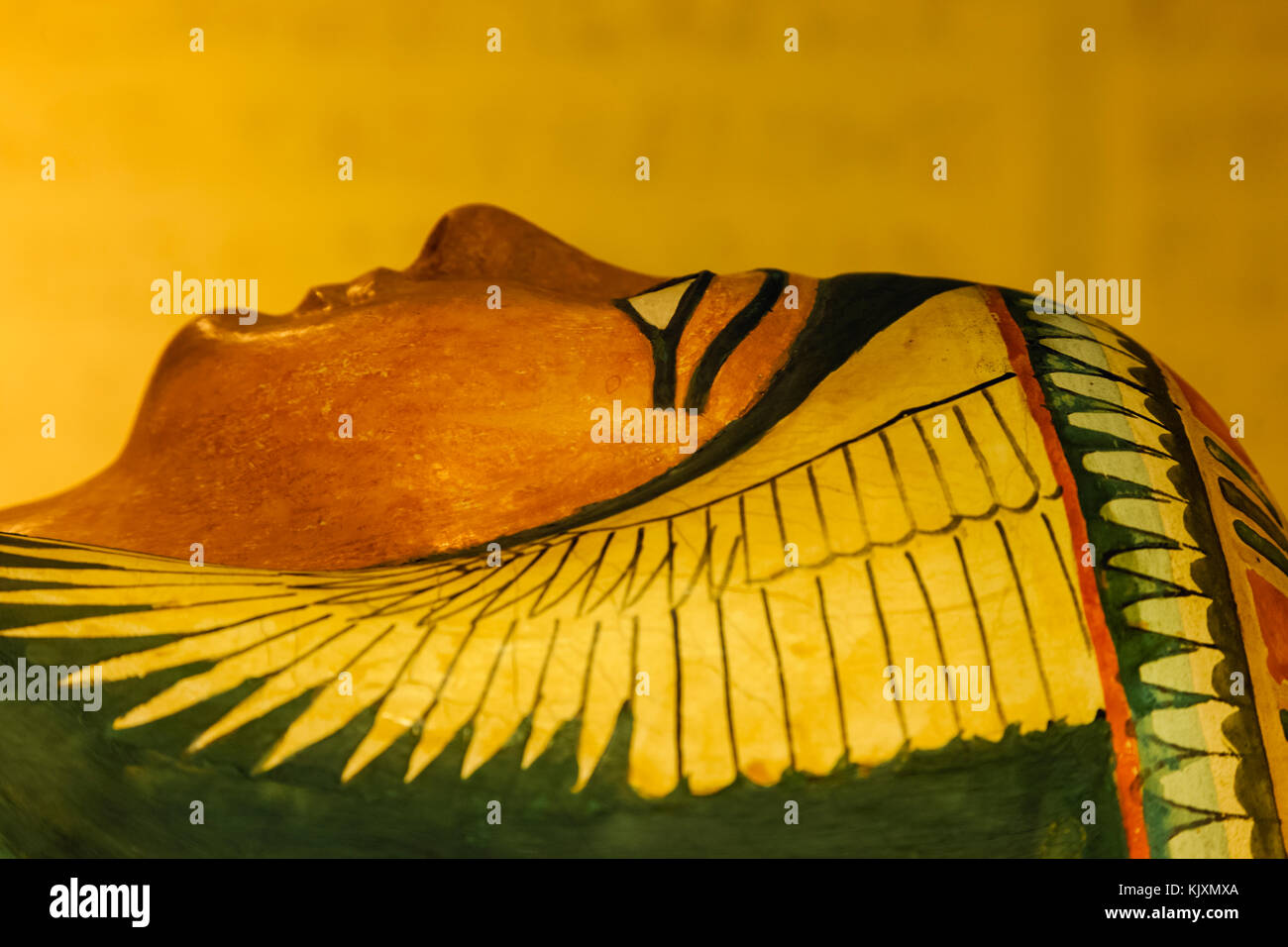 England, Devon, Exeter, Royal Albert Memorial Museum and Art Gallery ...