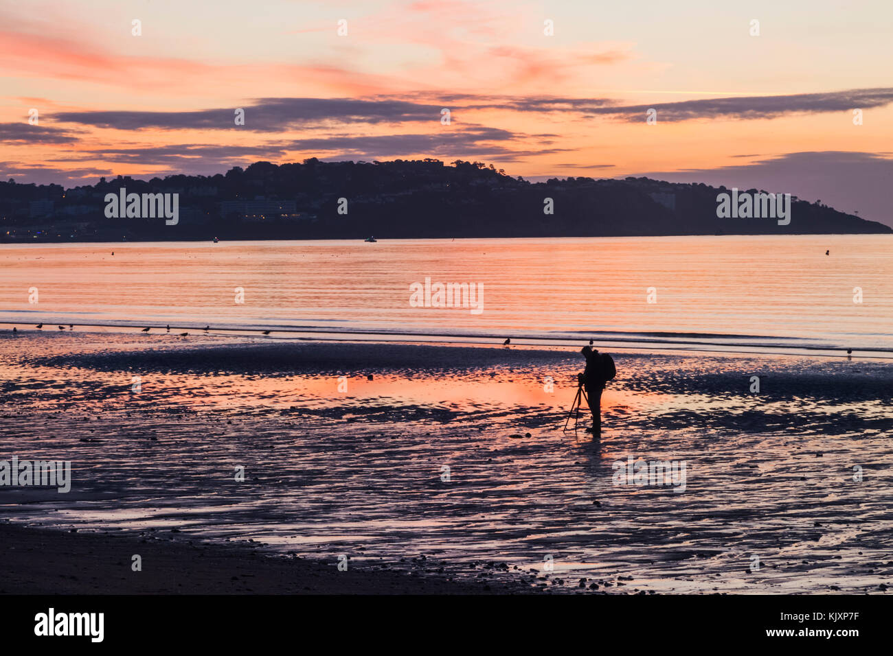 Torquay tor bay devon hi-res stock photography and images - Alamy
