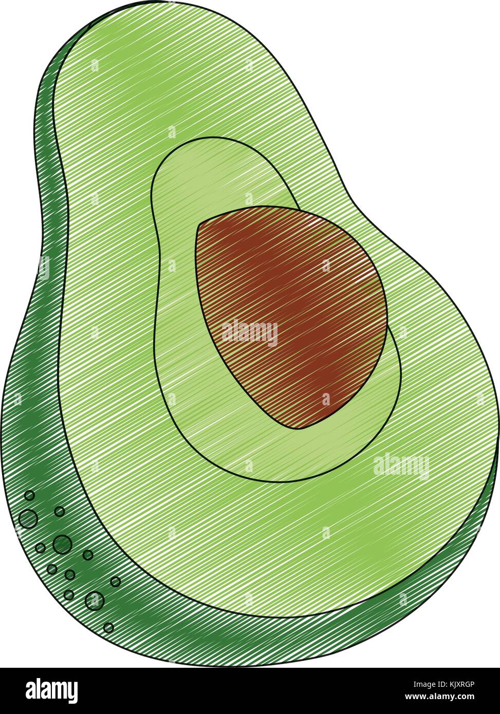 Isolated avocado design Stock Vector Image & Art - Alamy