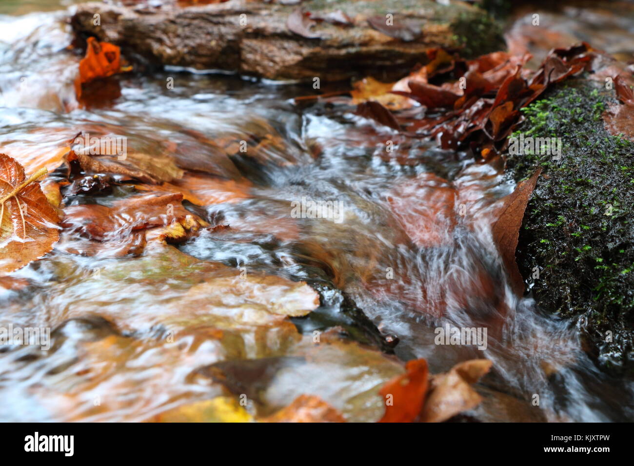 Little autumnal waterfall Stock Photo - Alamy