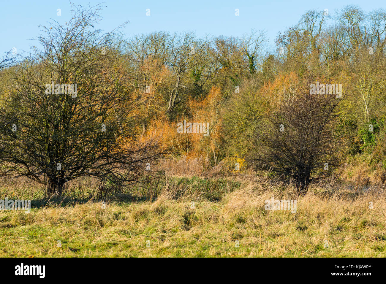 Hemingford Grey Meadow and the Great Ouse river, Cambridgeshire ...