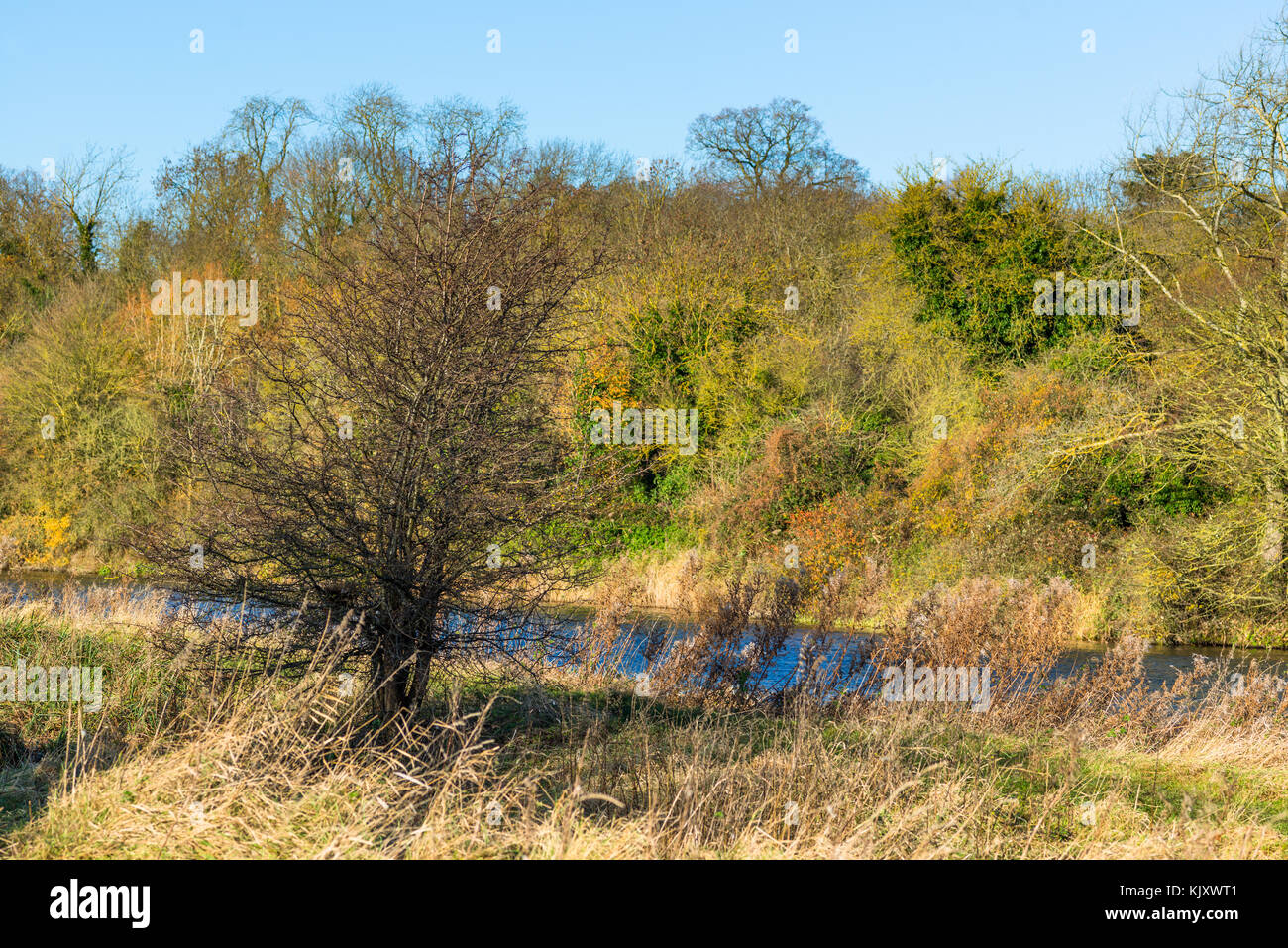 Hemingford Grey Meadow and the Great Ouse river, Cambridgeshire ...