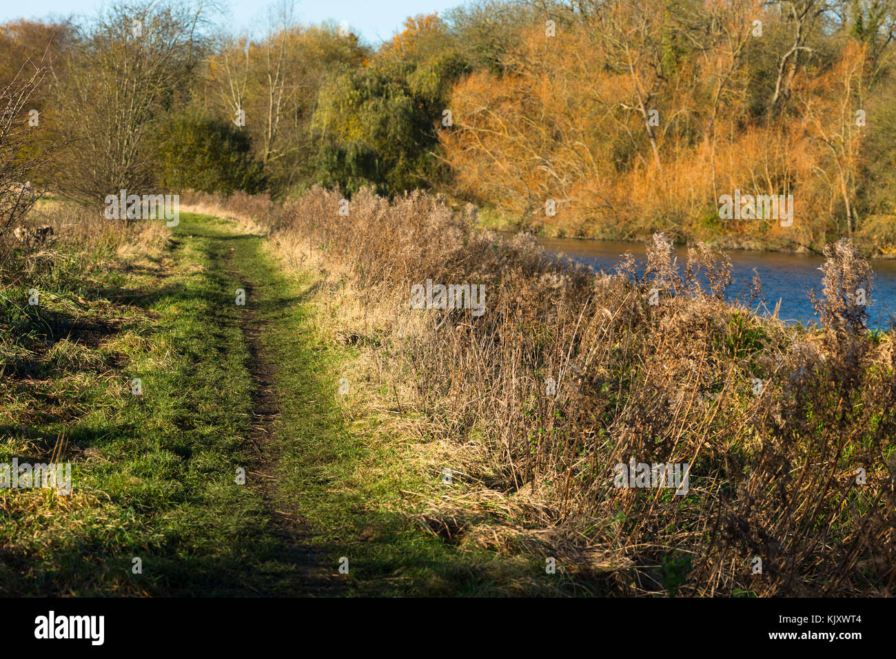 Hemingford Grey Meadow and the Great Ouse river, Cambridgeshire ...