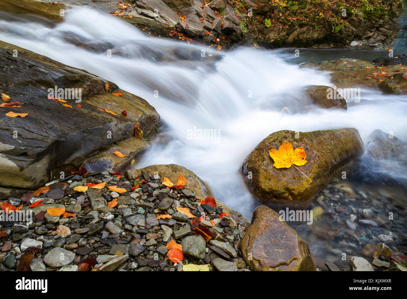 Fall leaves in a waterfall. Leaves on rocks in autumn season Stock ...