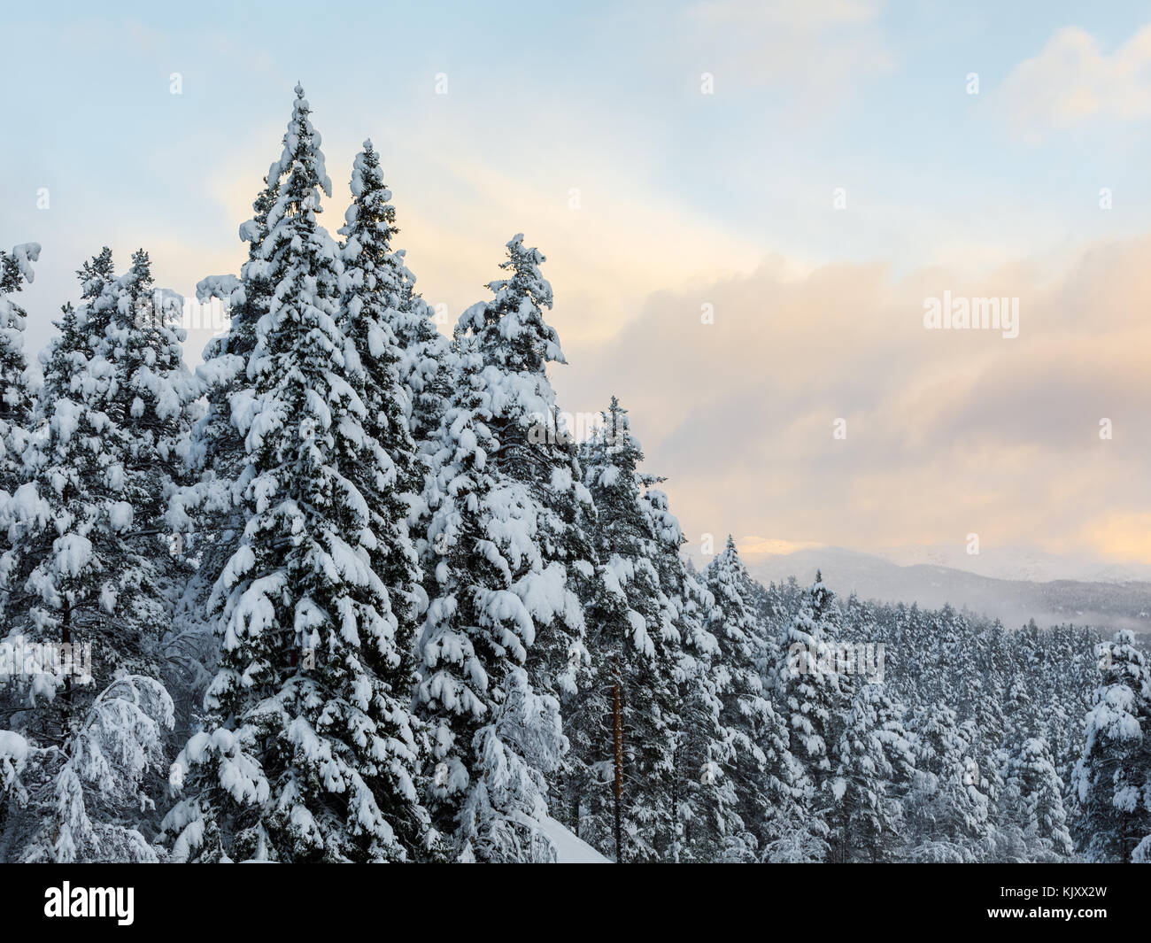 Nice winter landscape with trees snow hi-res stock photography and ...