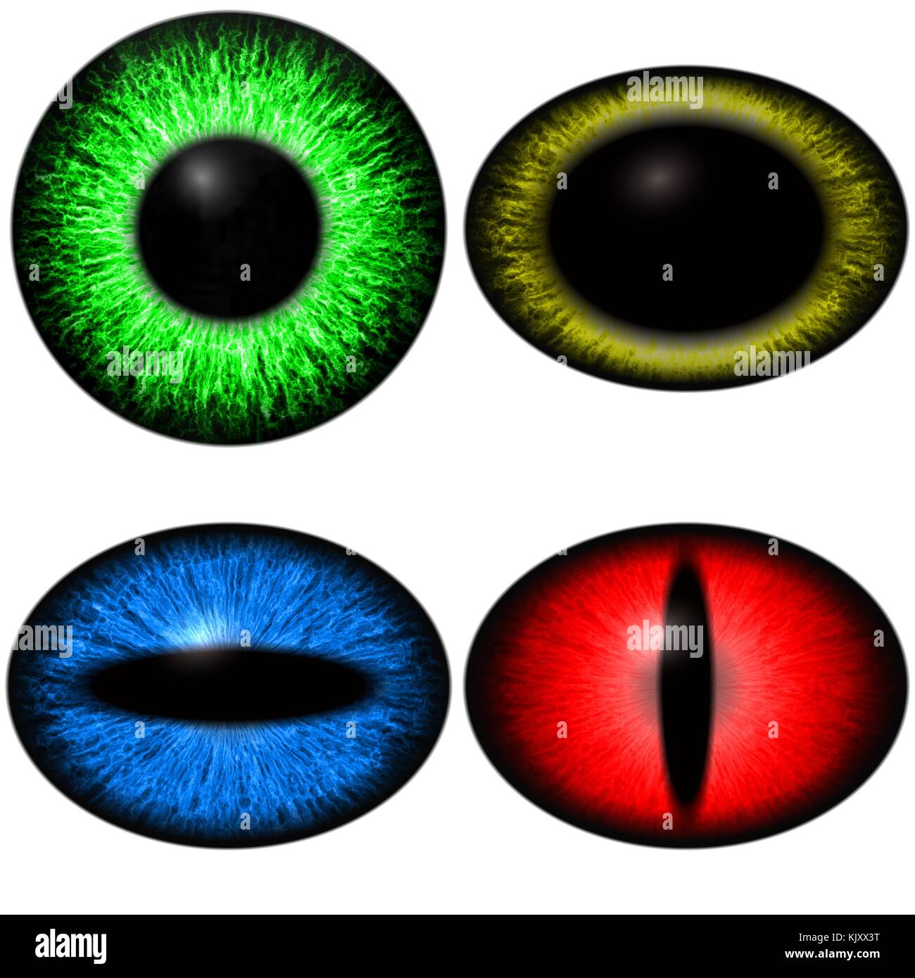 Four color yes set with diferent pupil size. Eye isolated on white ...