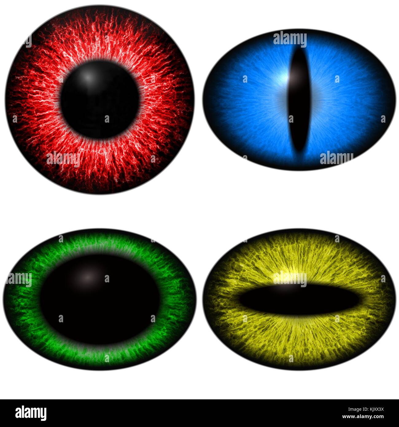 Four color yes set with diferent pupil size. Eye isolated on white ...