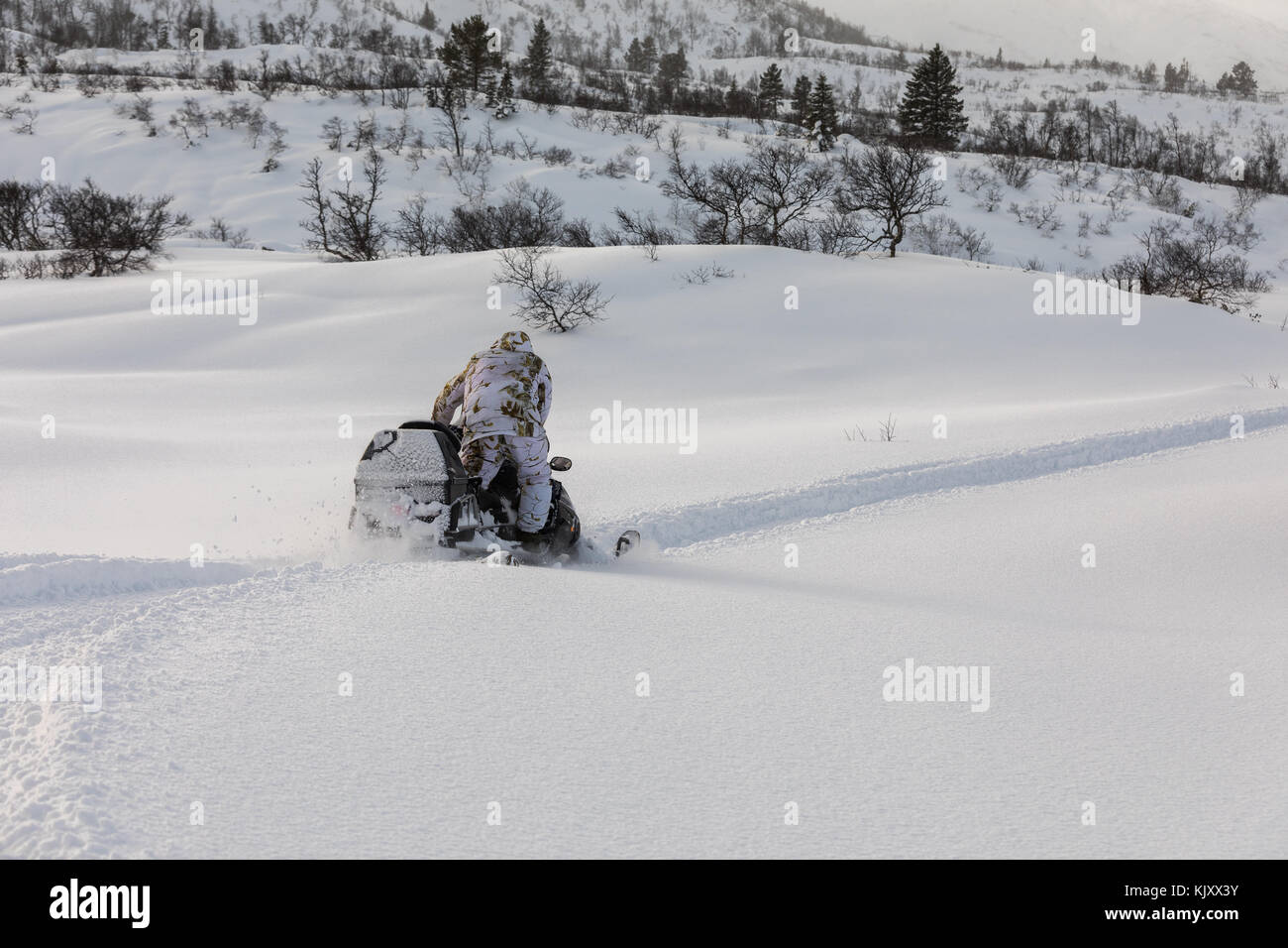 Man driving snowmobile in the snow, seen from behind Stock Photo - Alamy