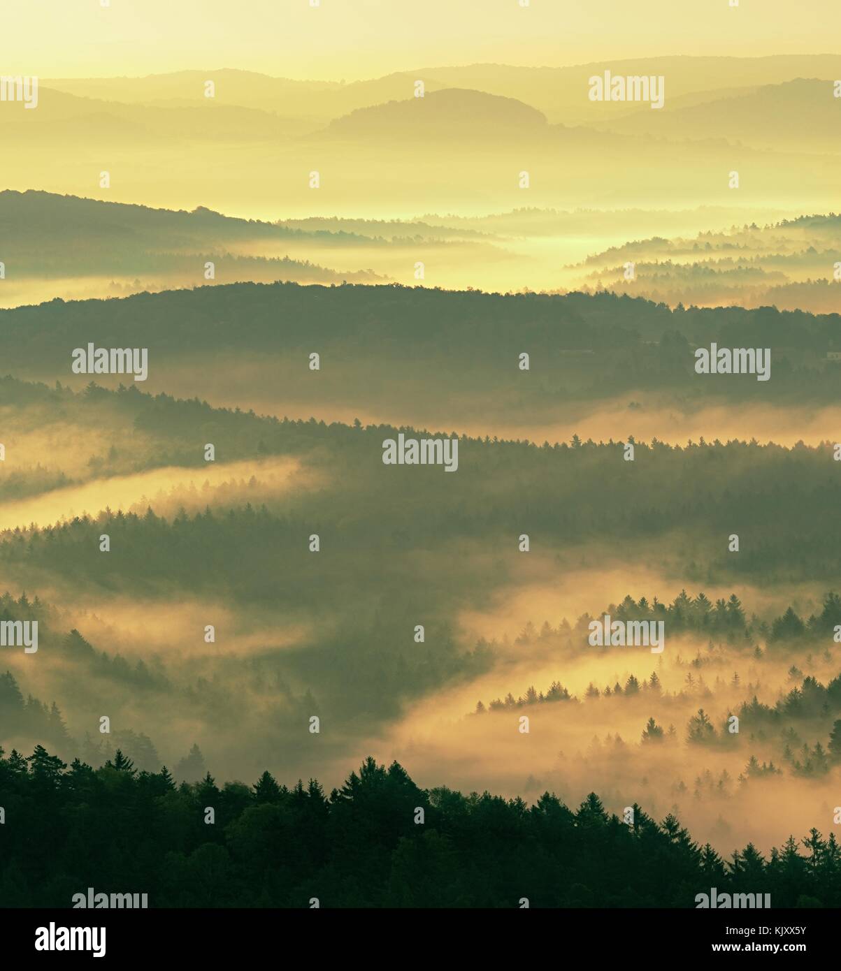 Magnificent heavy mist in landscape. Autumn creamy fog in landscape ...