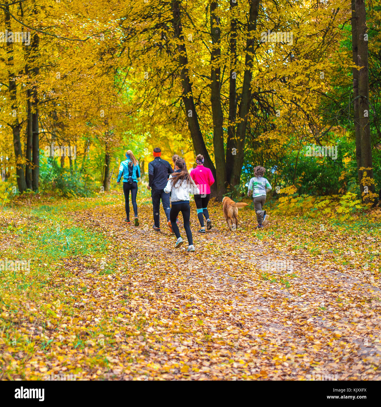 Running athletes in the park on a run in the early morning. Several ...