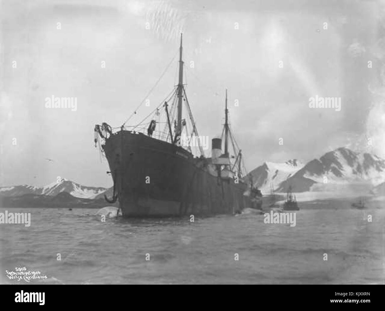 Bucentaur i Bellsund 1906 08 17 Stock Photo - Alamy