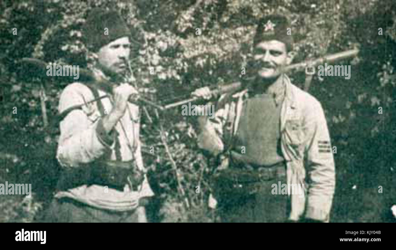 Kozar hi-res stock photography and images - Alamy