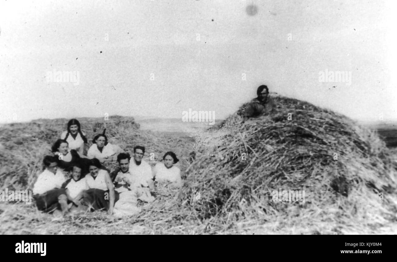 Israel 8125 Gan Samuel In the barn 1939 Stock Photo - Alamy