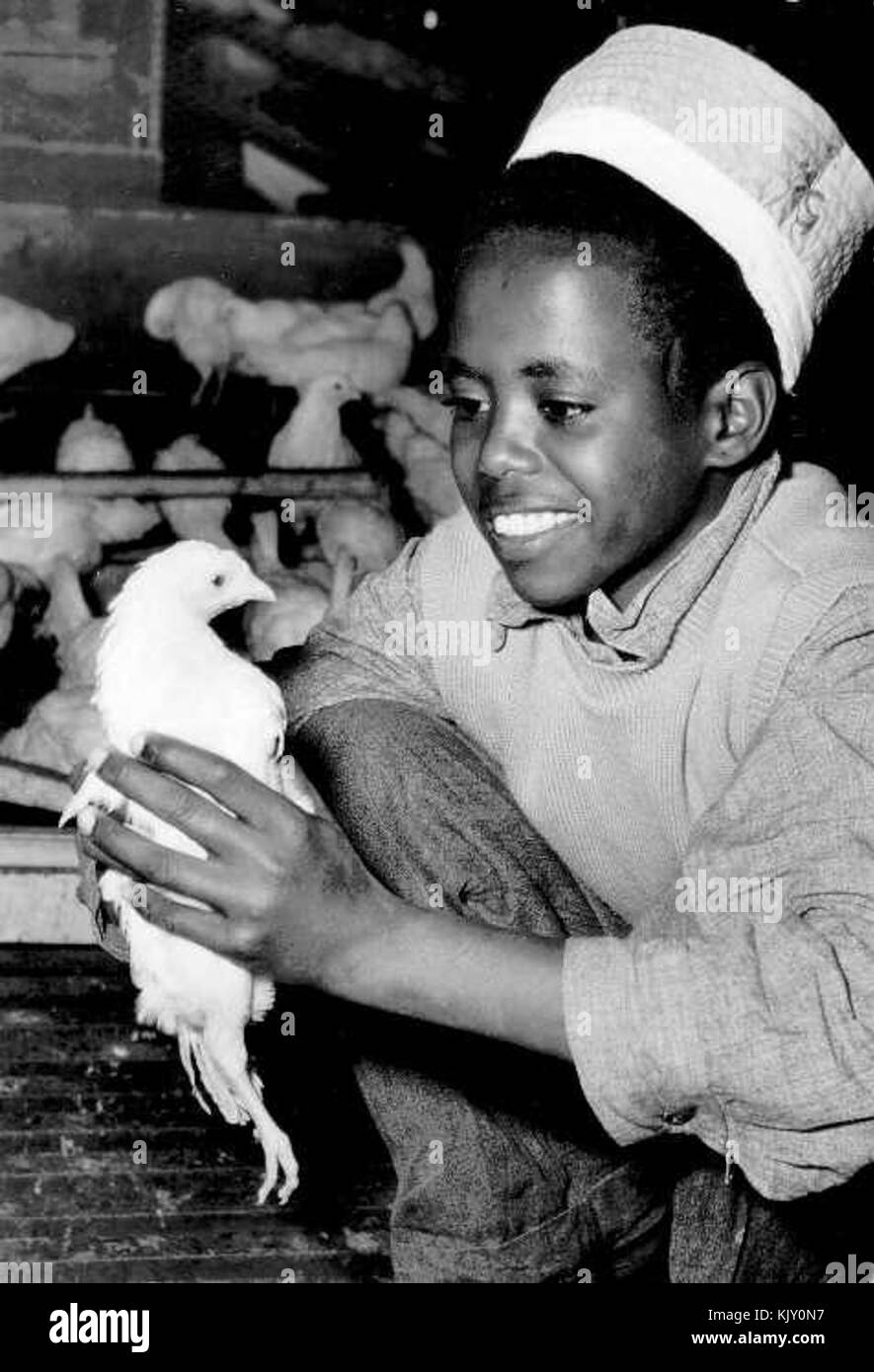 Batya hi-res stock photography and images - Alamy