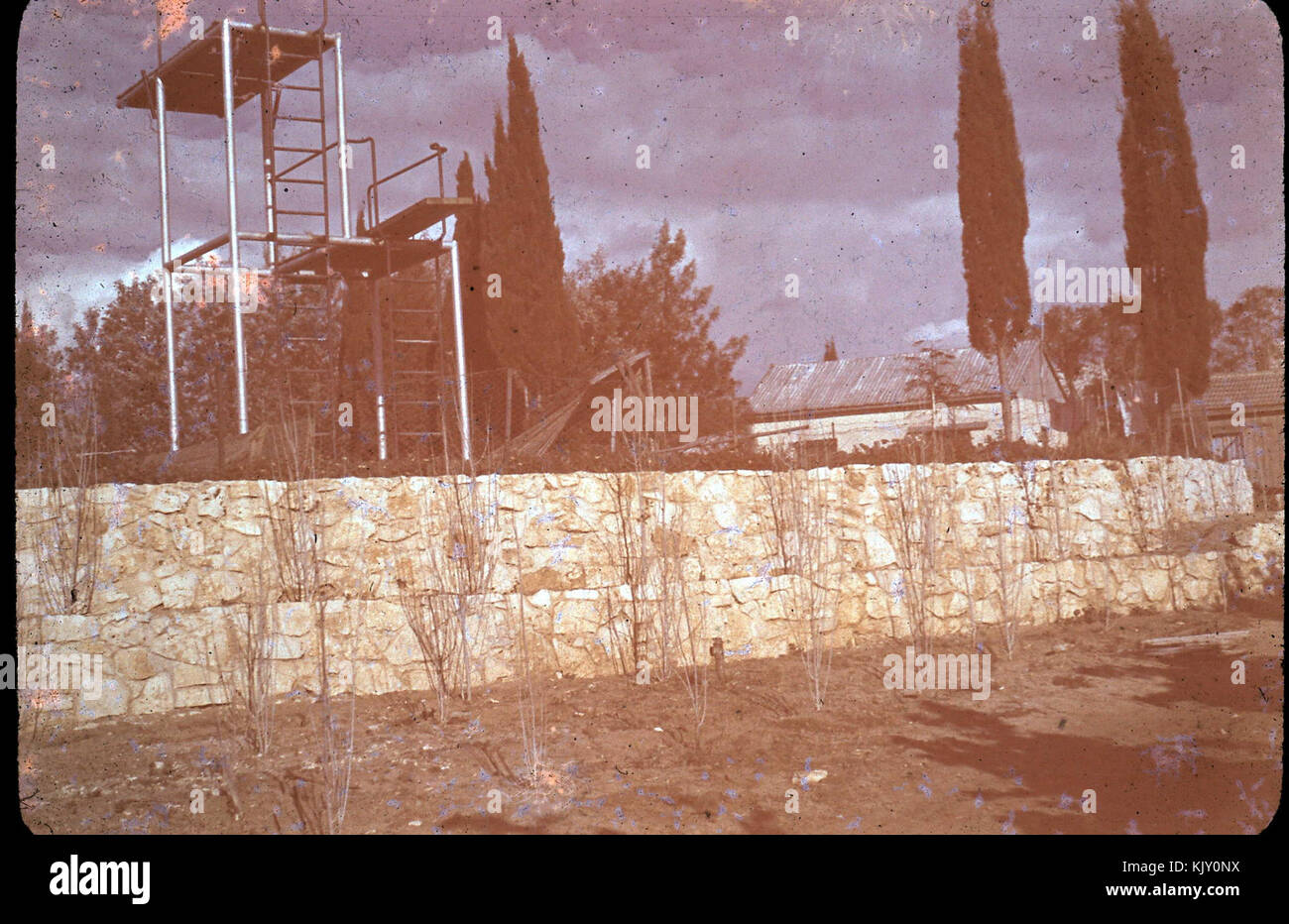 Israel 5708 Springboard into the pool Stock Photo - Alamy