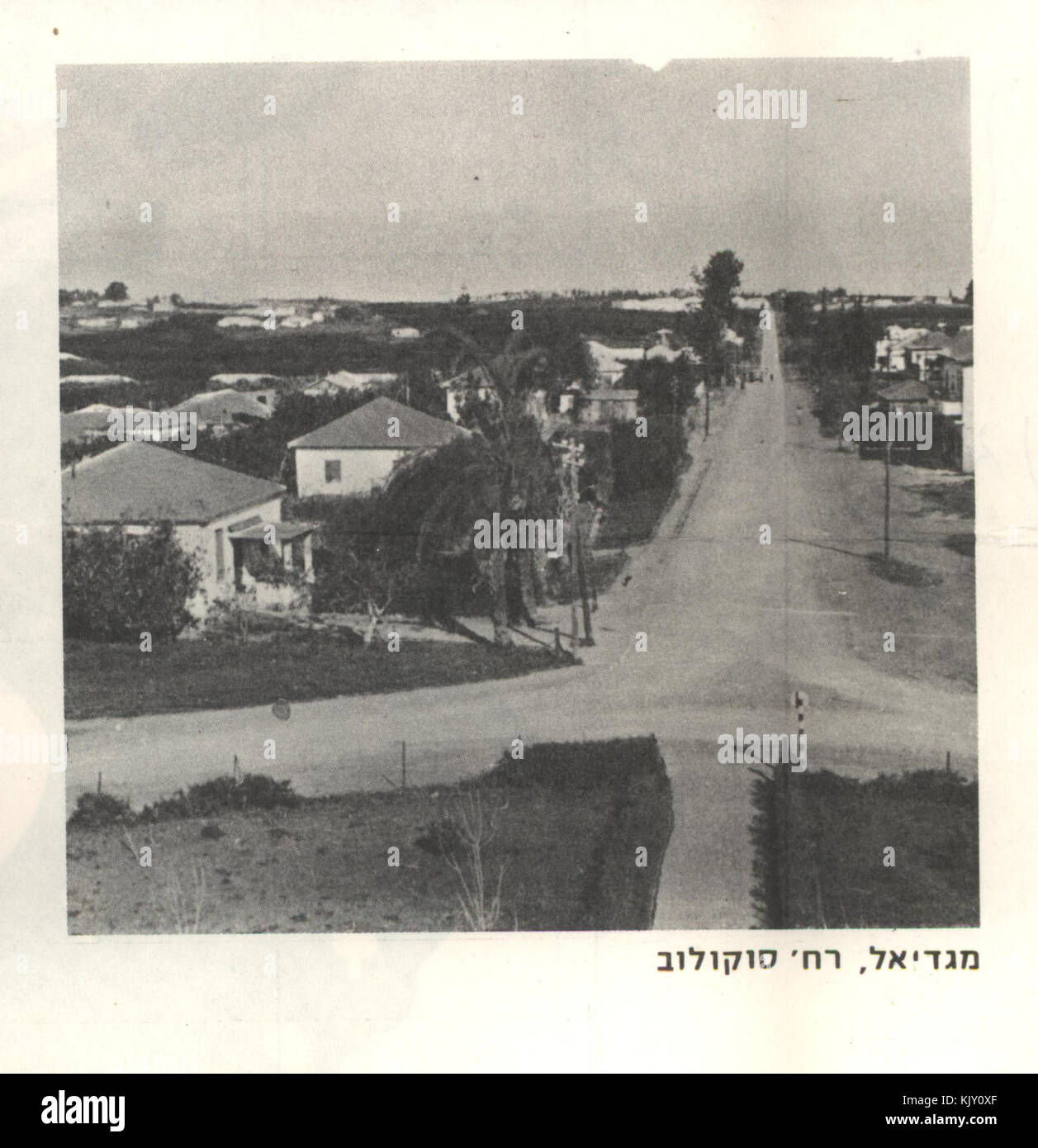Israel 18846 street in hod hasharon Stock Photo - Alamy
