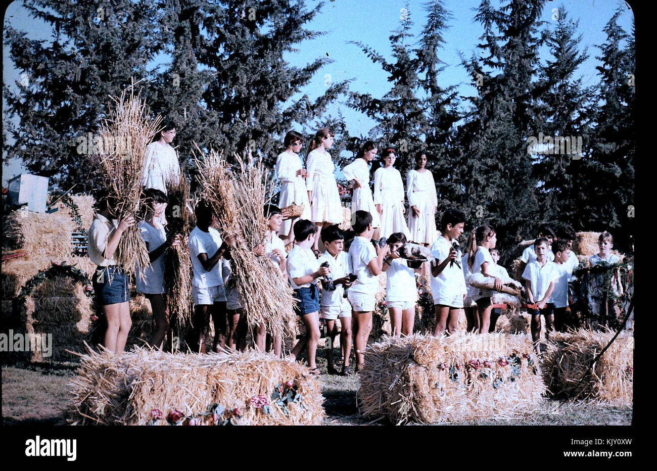 Israel 5712 First Fruits Ceremony Stock Photo - Alamy