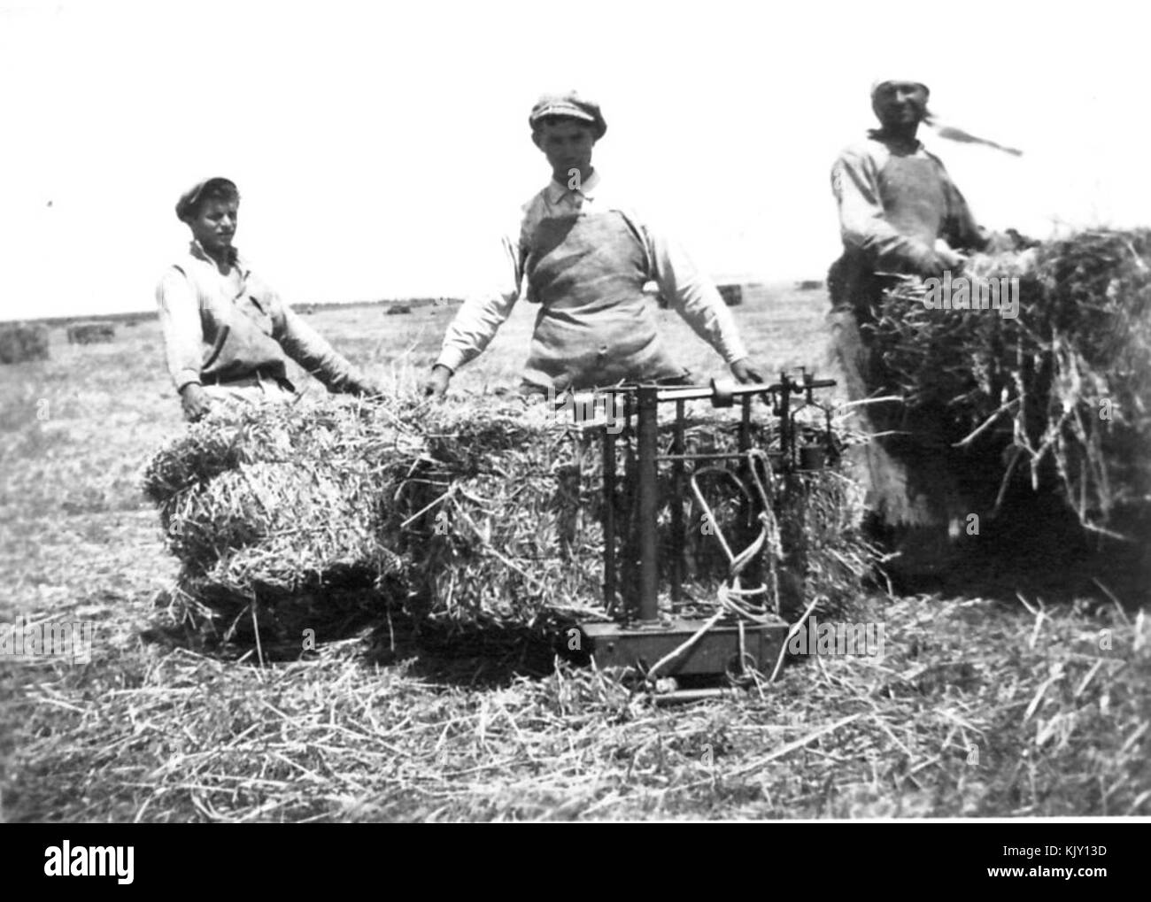Israel 6102 Gan Samuel press straw packages weighing in 1940 Stock ...