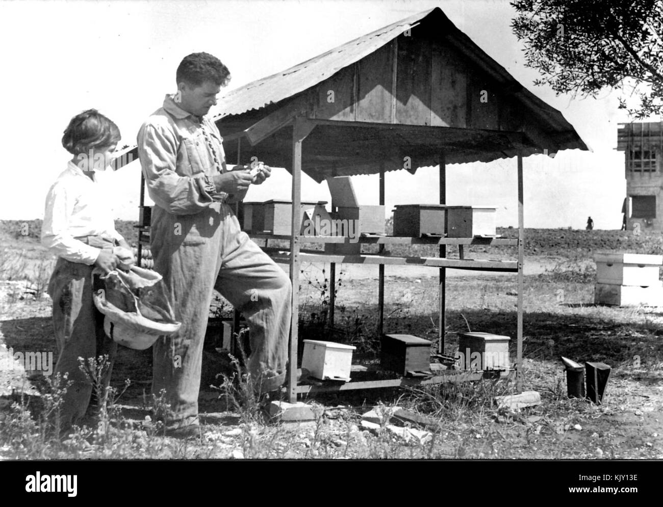 Israel 6613 Gan Samuel bee hives 1938 Stock Photo - Alamy
