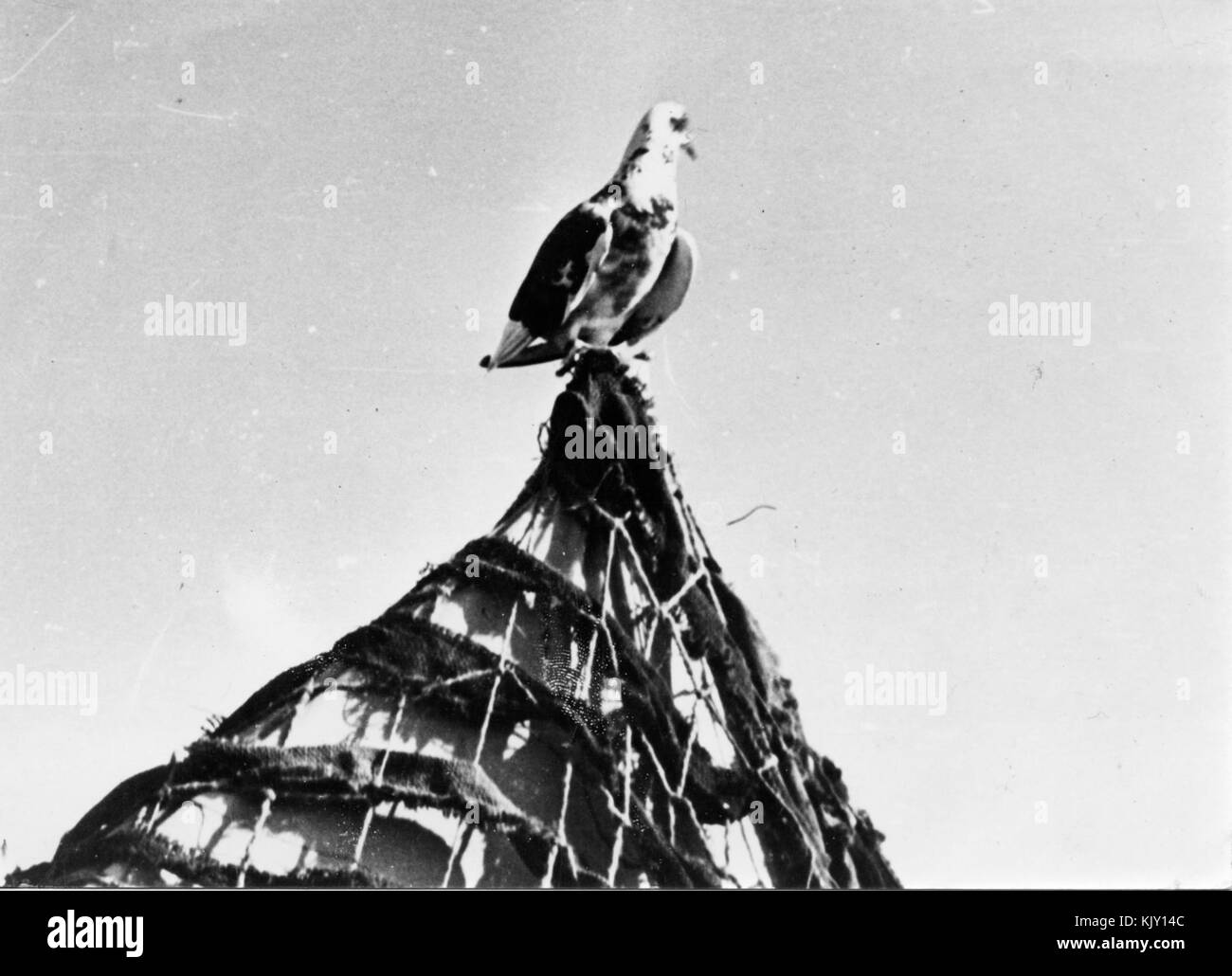 Israel 21391 The Palmach Stock Photo - Alamy