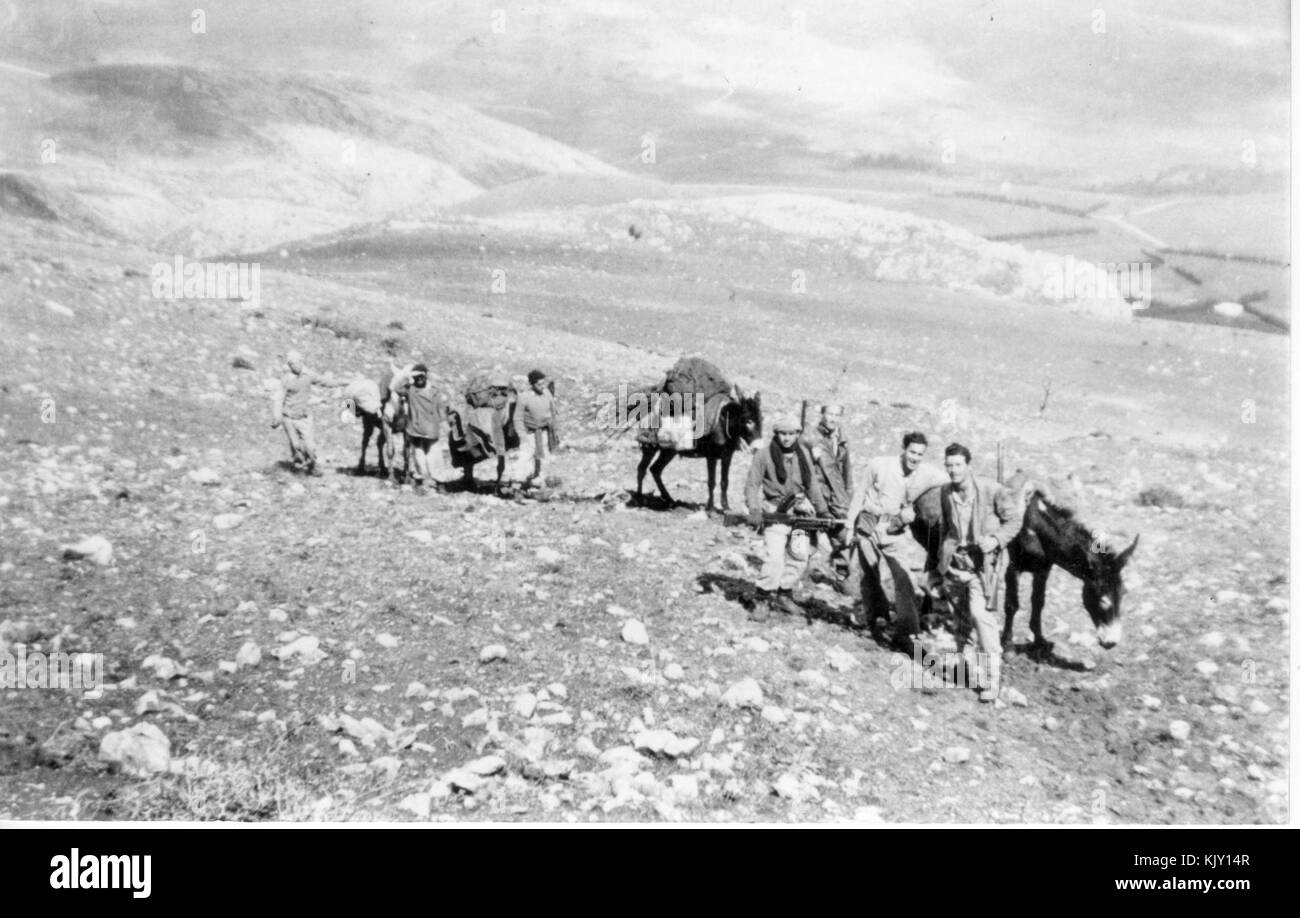 Israel 20831 The Palmach Stock Photo - Alamy