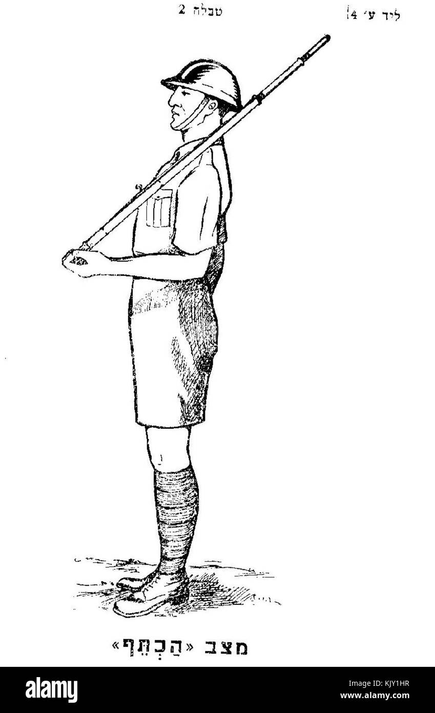 Squad drill with arms Slope Arms Stock Photo - Alamy