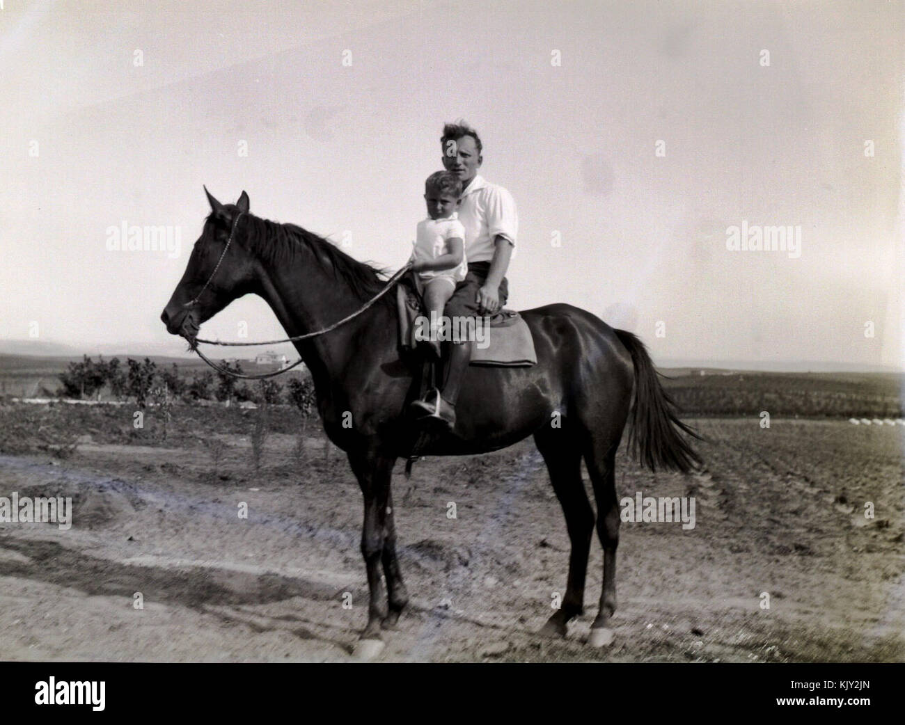 Israel 9844 Tel Mond fields Stock Photo - Alamy