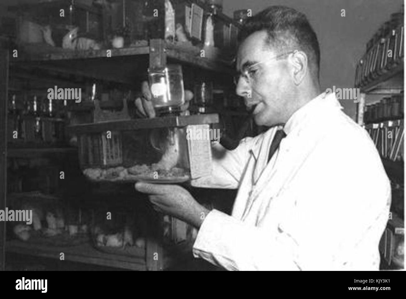 Isaac Berenblum 1951 Stock Photo - Alamy