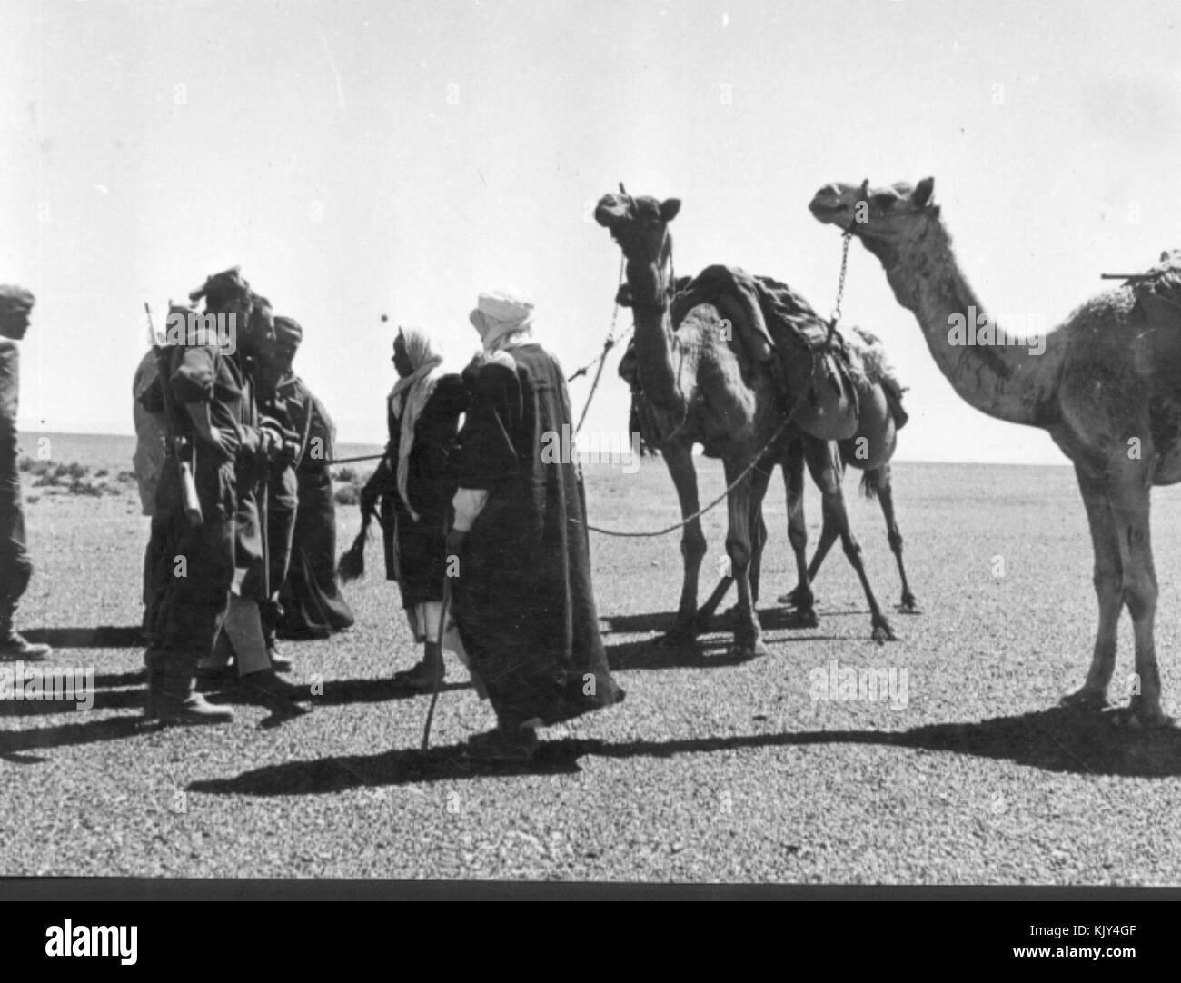 Israel 21294 The Palmach Stock Photo - Alamy
