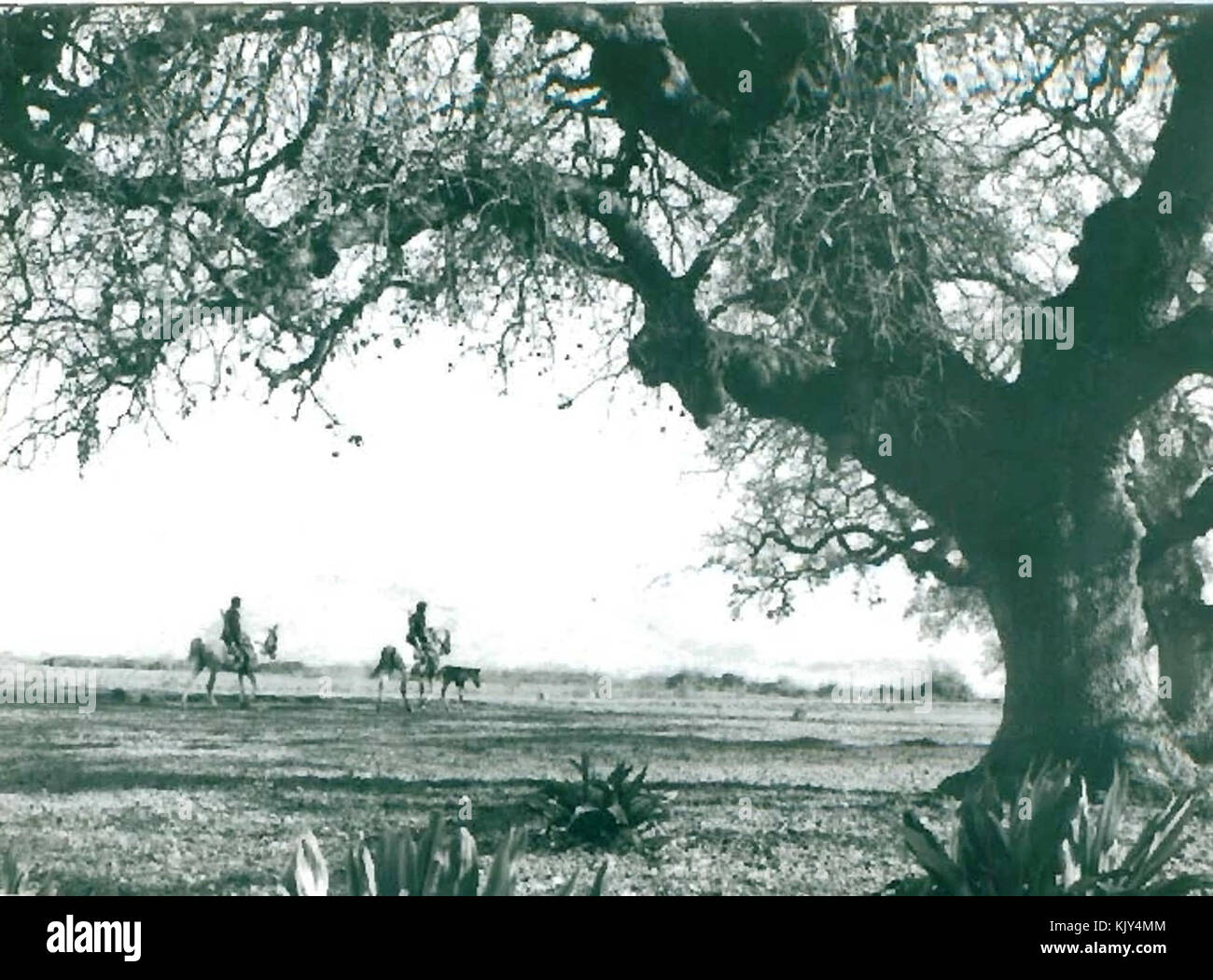 Israel 7251 in the Galil Stock Photo - Alamy