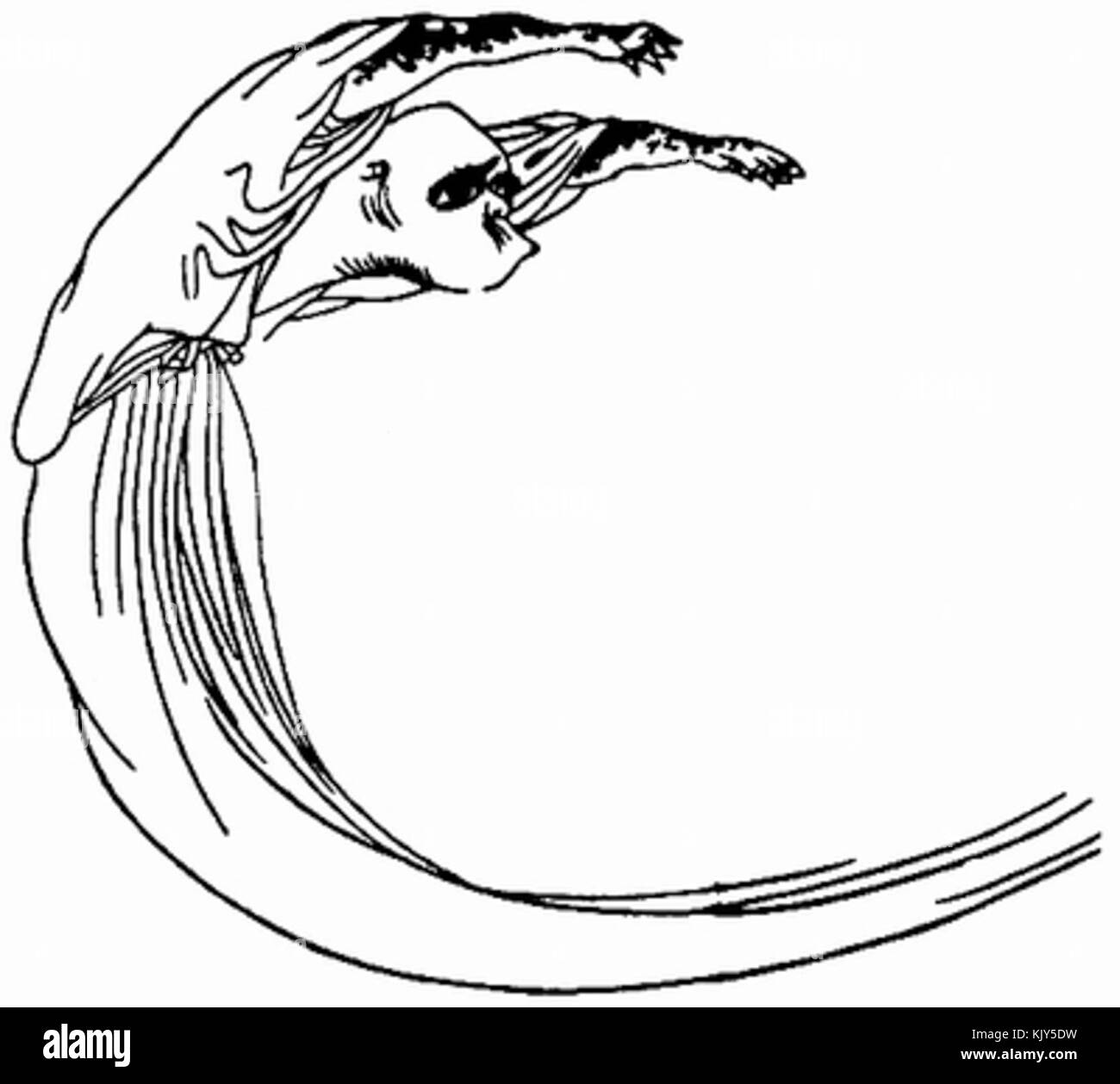 Suppon hi-res stock photography and images - Alamy