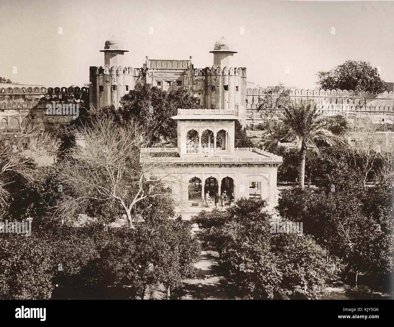 Hazuri hi-res stock photography and images - Alamy