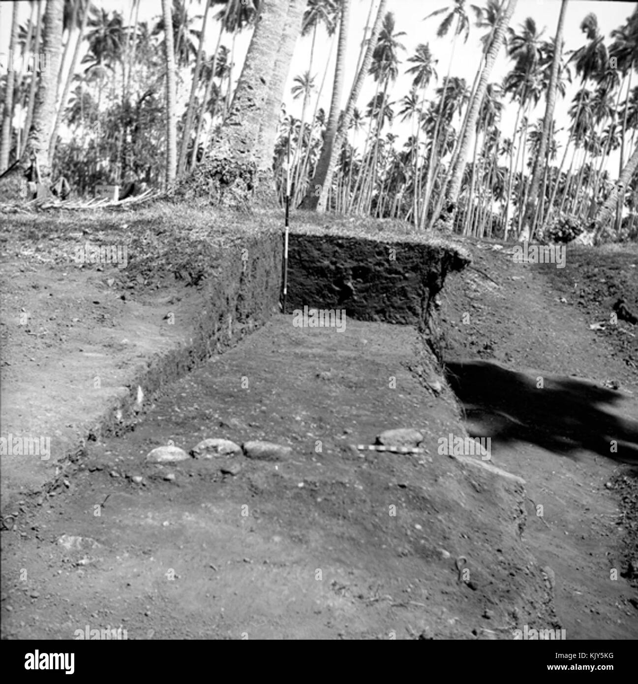 F 2 062 116 Ak Uni Vailele excavation 1957 researcher Jack Golson 2 ...