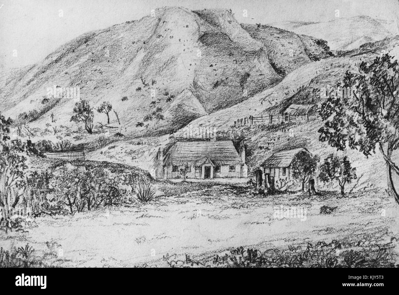 Whatarangi hi-res stock photography and images - Alamy