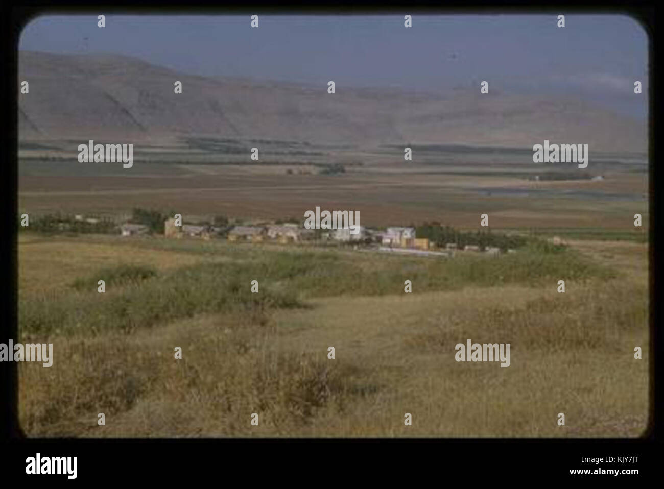Kibbutz Beit Hashita1950 Stock Photo - Alamy