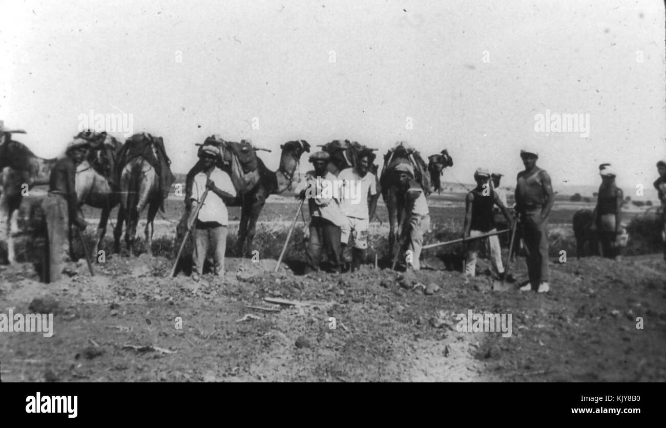 Israel 8162 Gan Samuel drying marshes 1942 Stock Photo - Alamy