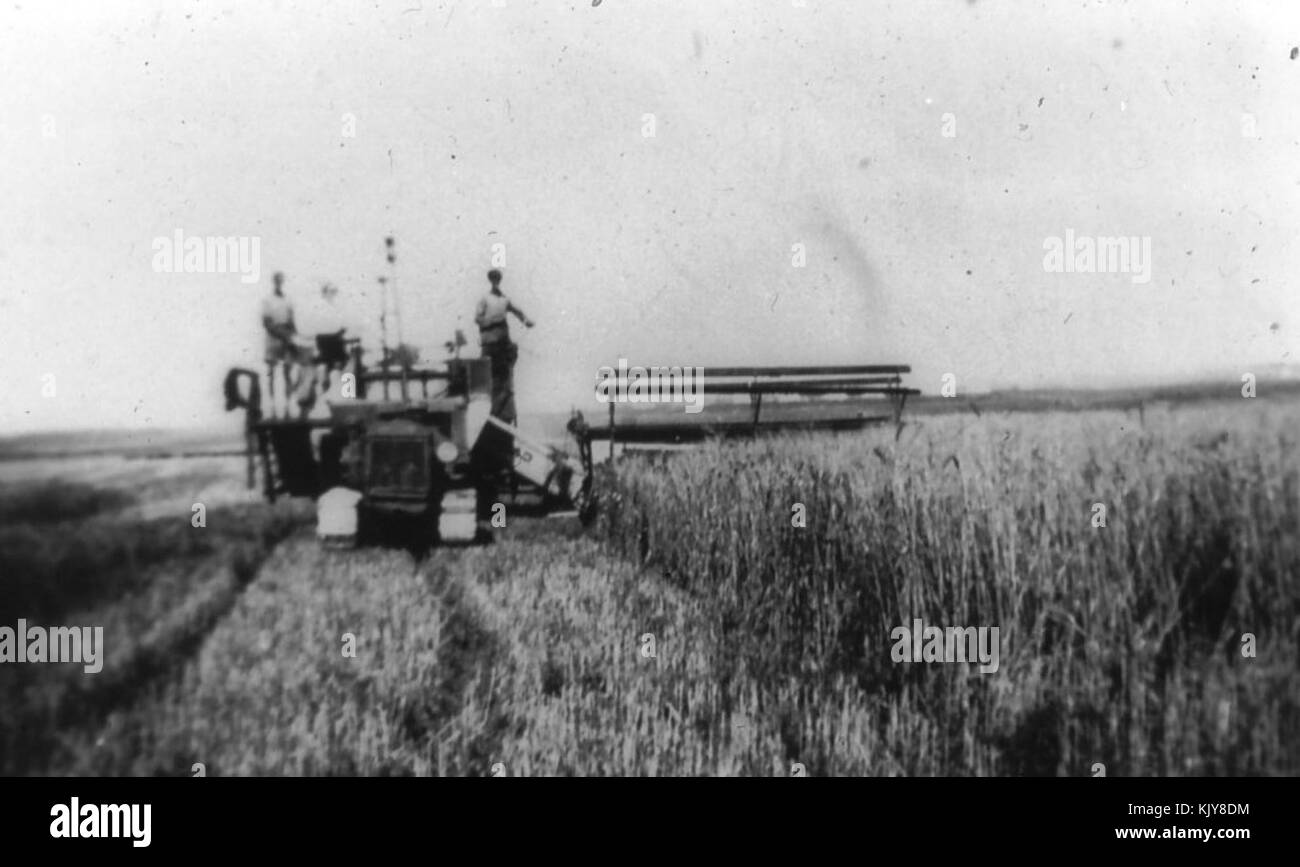 Israel 8128 Gan Samuel Harvest in 1941 Stock Photo - Alamy