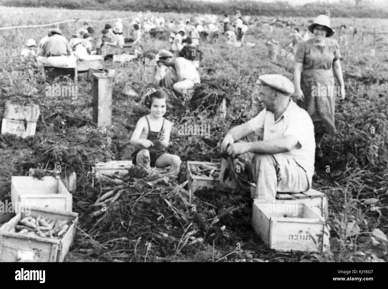 Post crop field Black and White Stock Photos & Images - Alamy