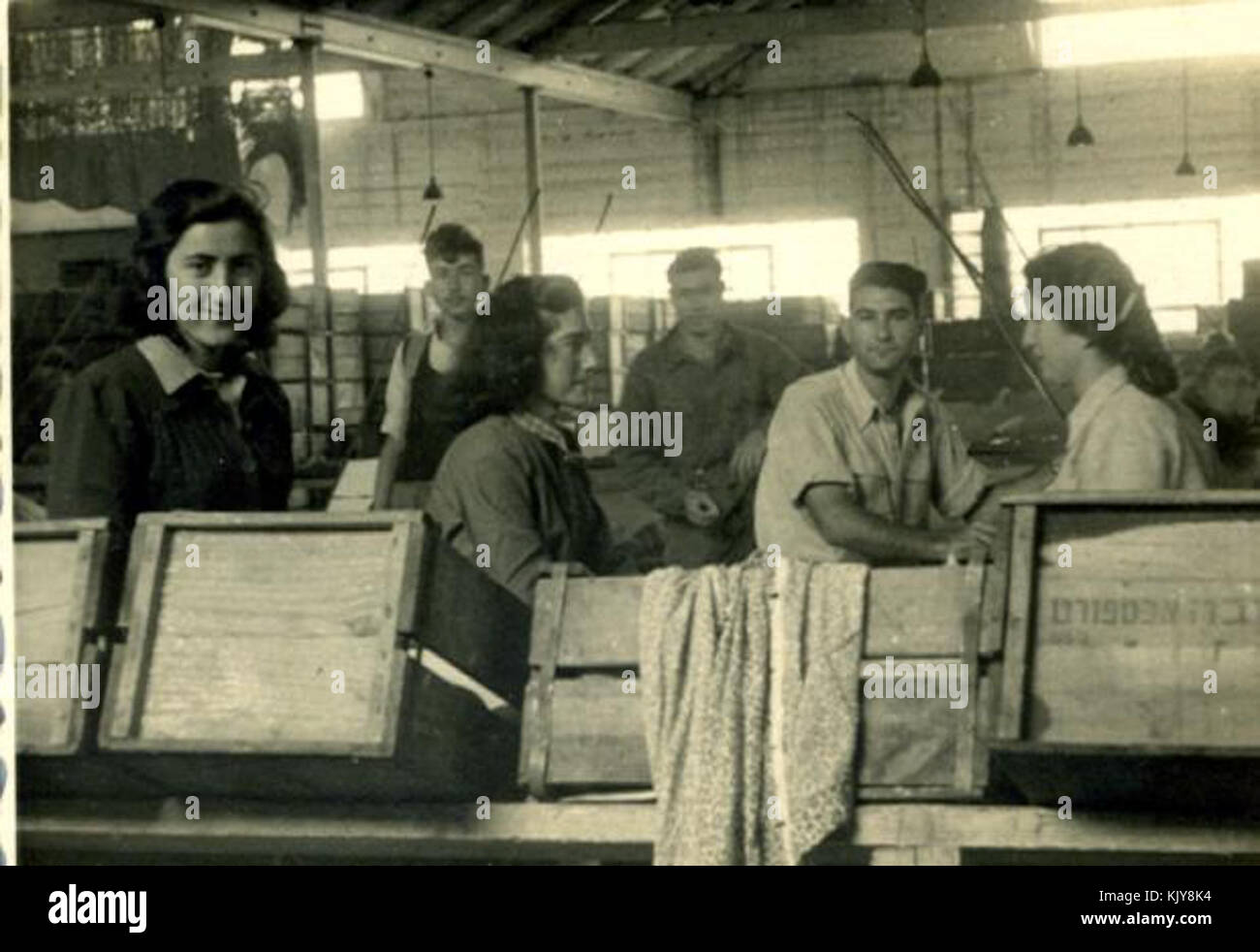 Israel 12268 Employees at a packing oranges Stock Photo - Alamy