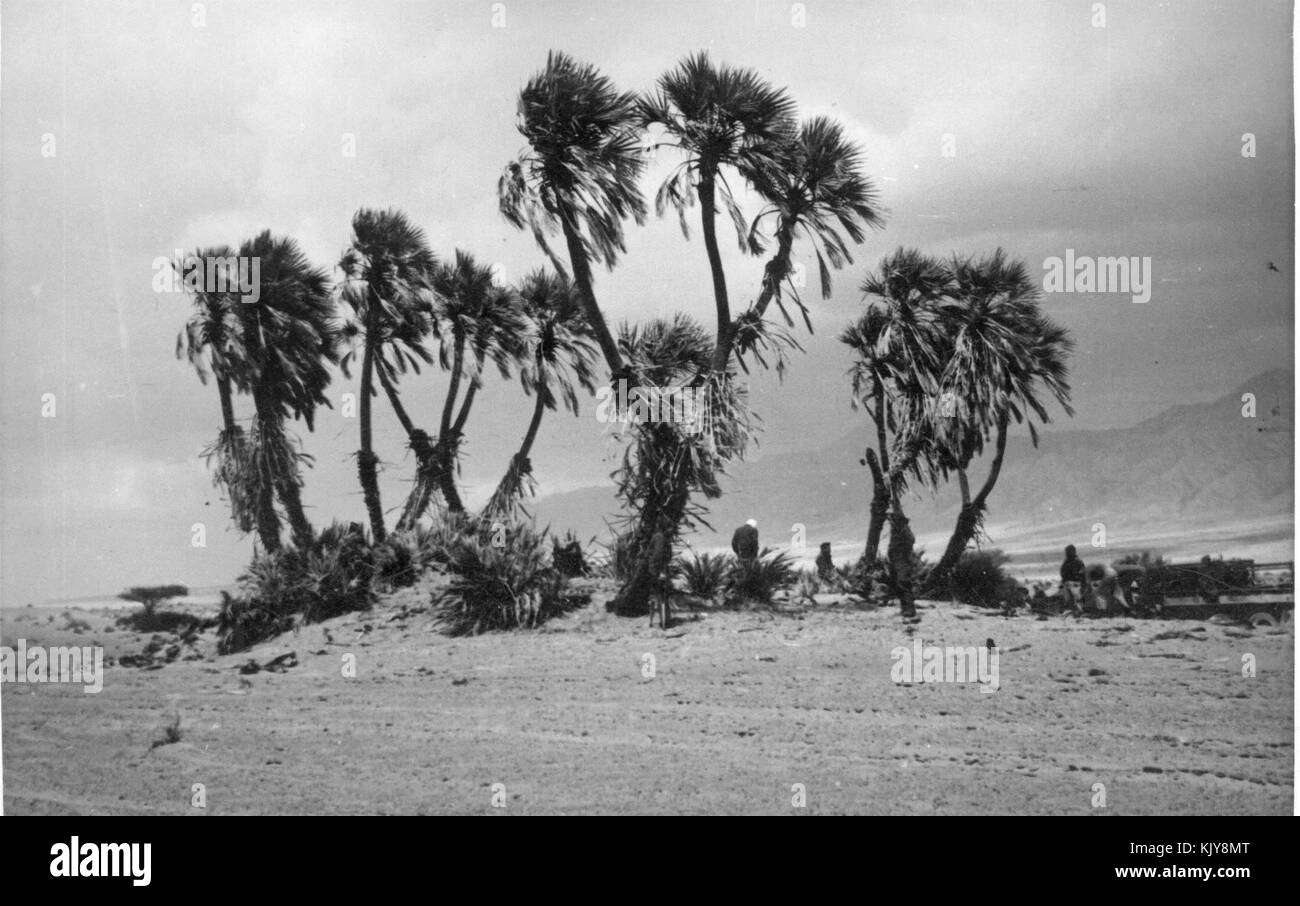 Israel 21313 The Palmach Stock Photo - Alamy